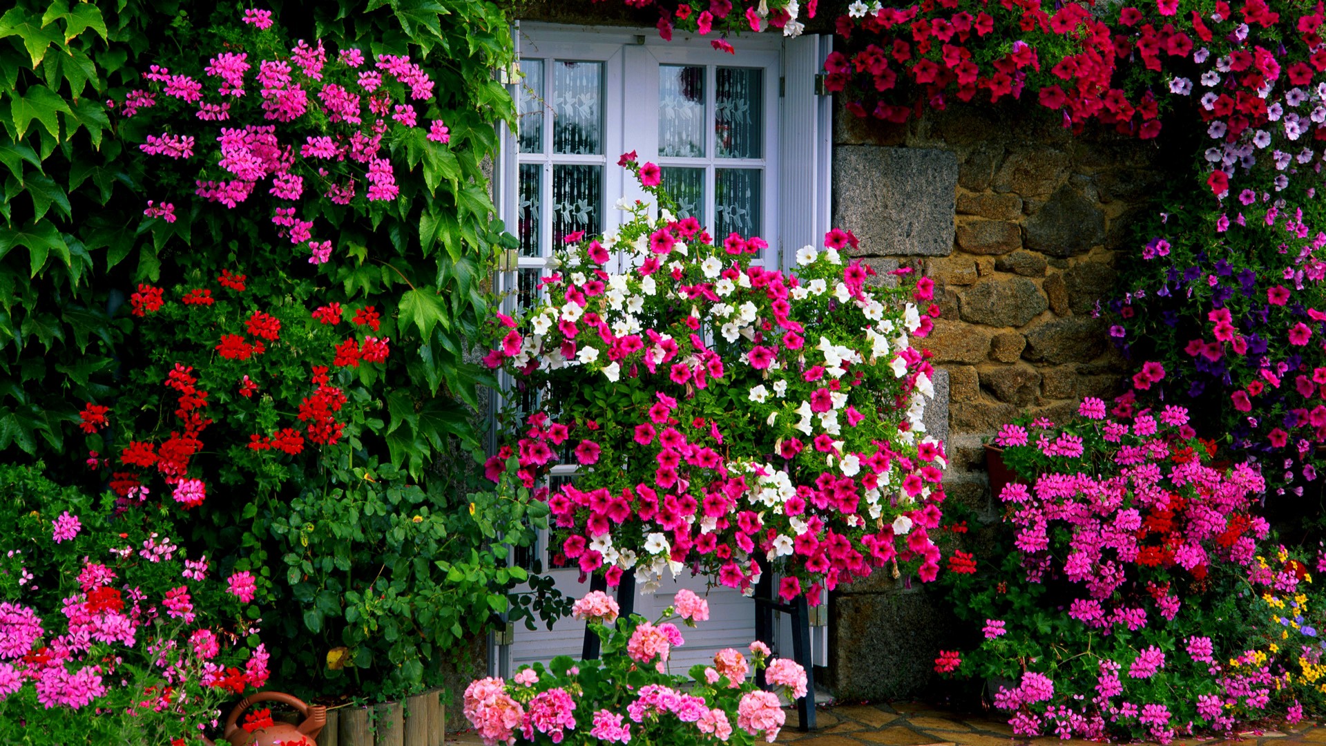 Which Garden Flowers Can You Grow In Serbia 2024 Guide InSerbia News