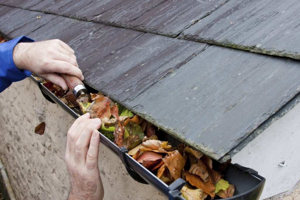 6 Main Factors That Can Cause Rain Gutter Blockage - 2024 Guide ...