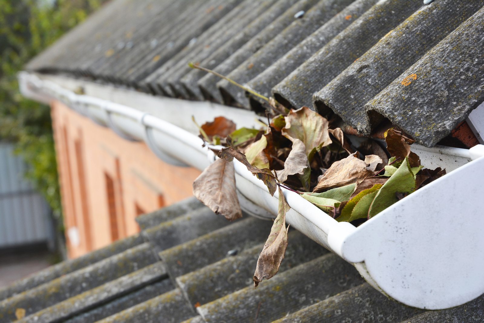 6 Main Factors That Can Cause Rain Gutter Blockage - 2024 Guide ...