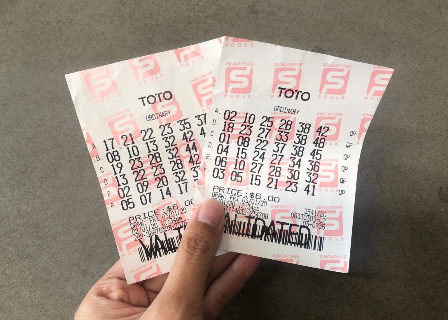 The Cultural Significance of Toto in Asian Society - InSerbia News